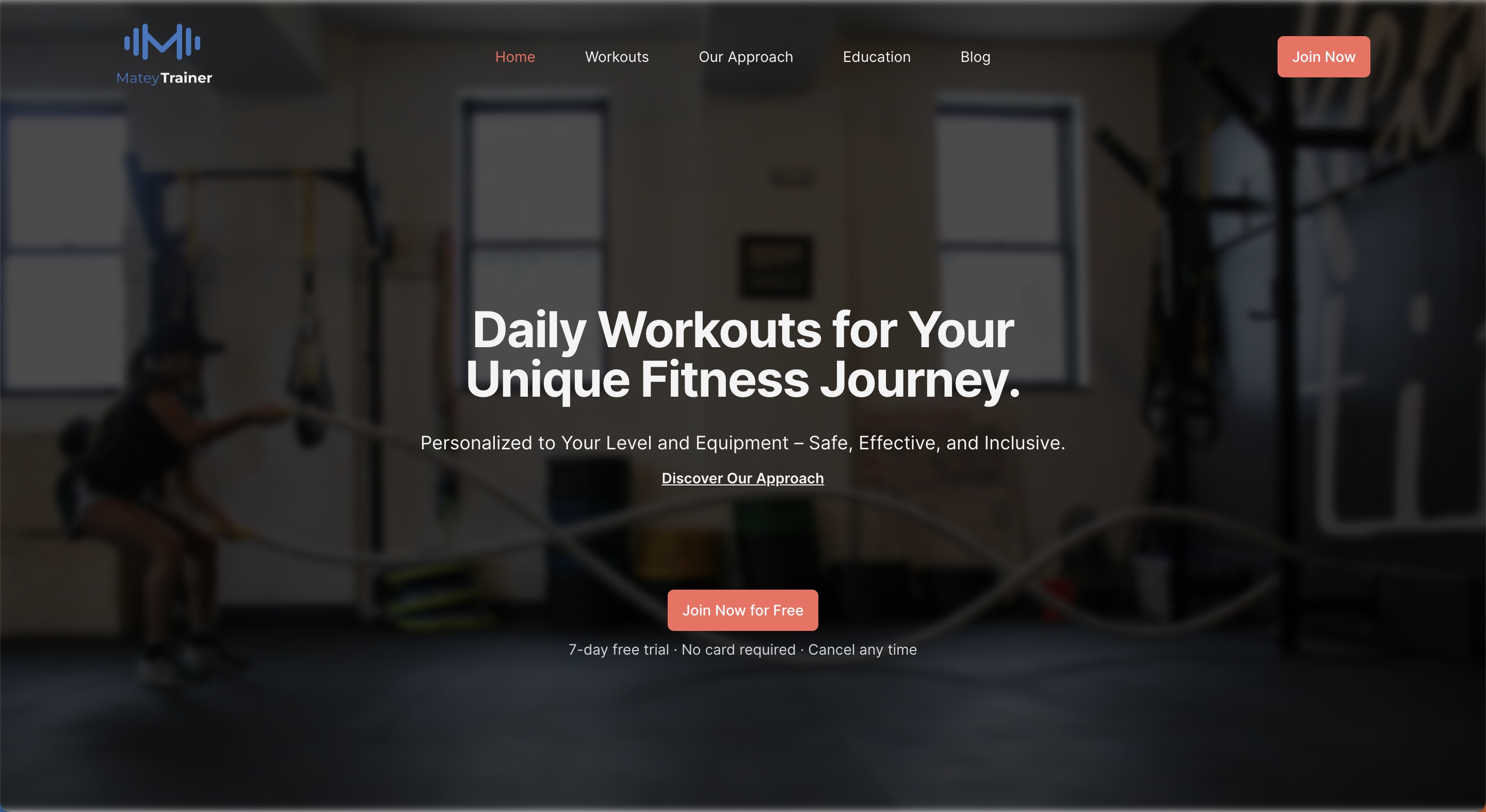 Neil Mackay Portfolio